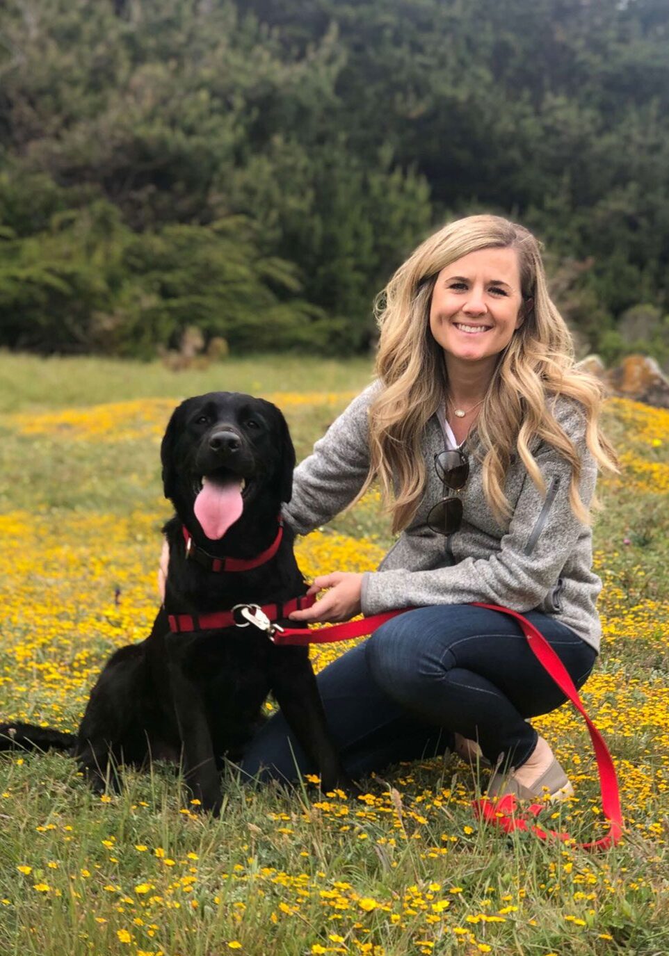 Dog and Cat Surgery in Ukiah, CA | Mendocino Animal Hospital